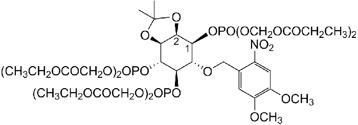membrane permeant and photoactivatable (caged) inositol phosphate ...
